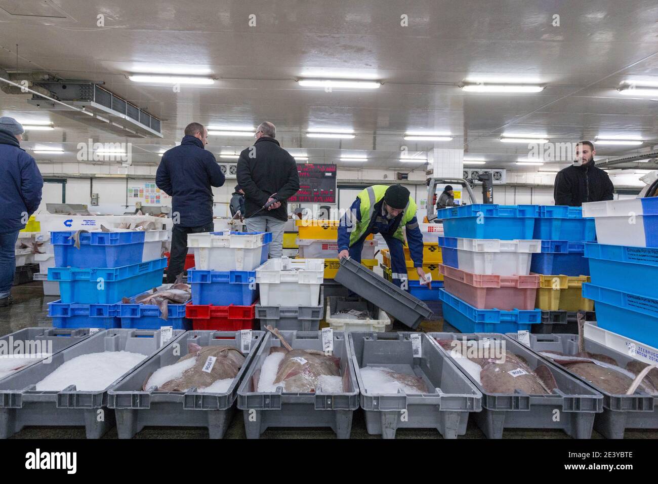 Guilvinec auction hi-res stock photography and images - Alamy