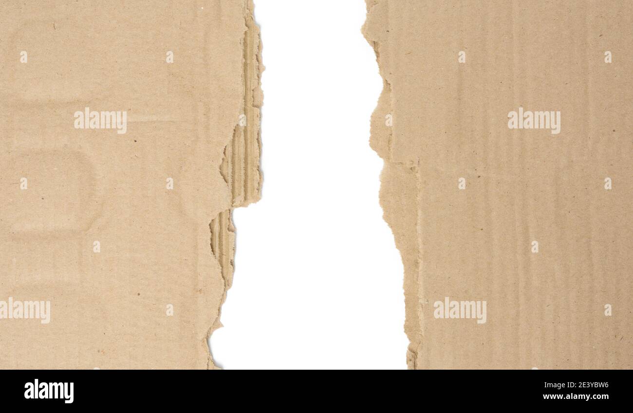 brown paper from the box, torn edge on a white background, copy space ...