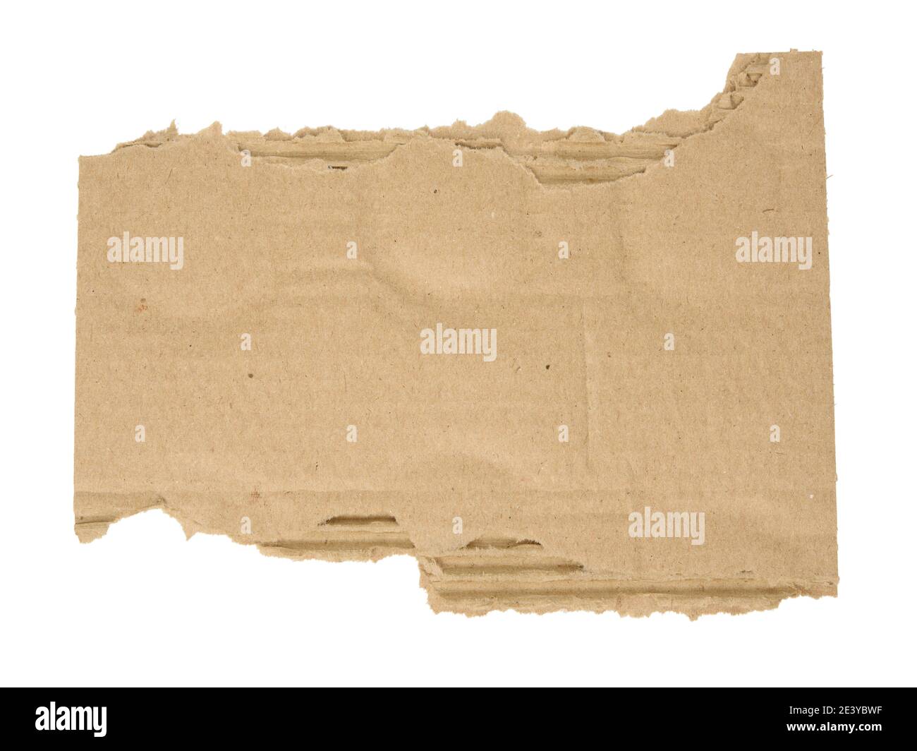 torn piece of corrugated cardboard isolated on white background, close ...