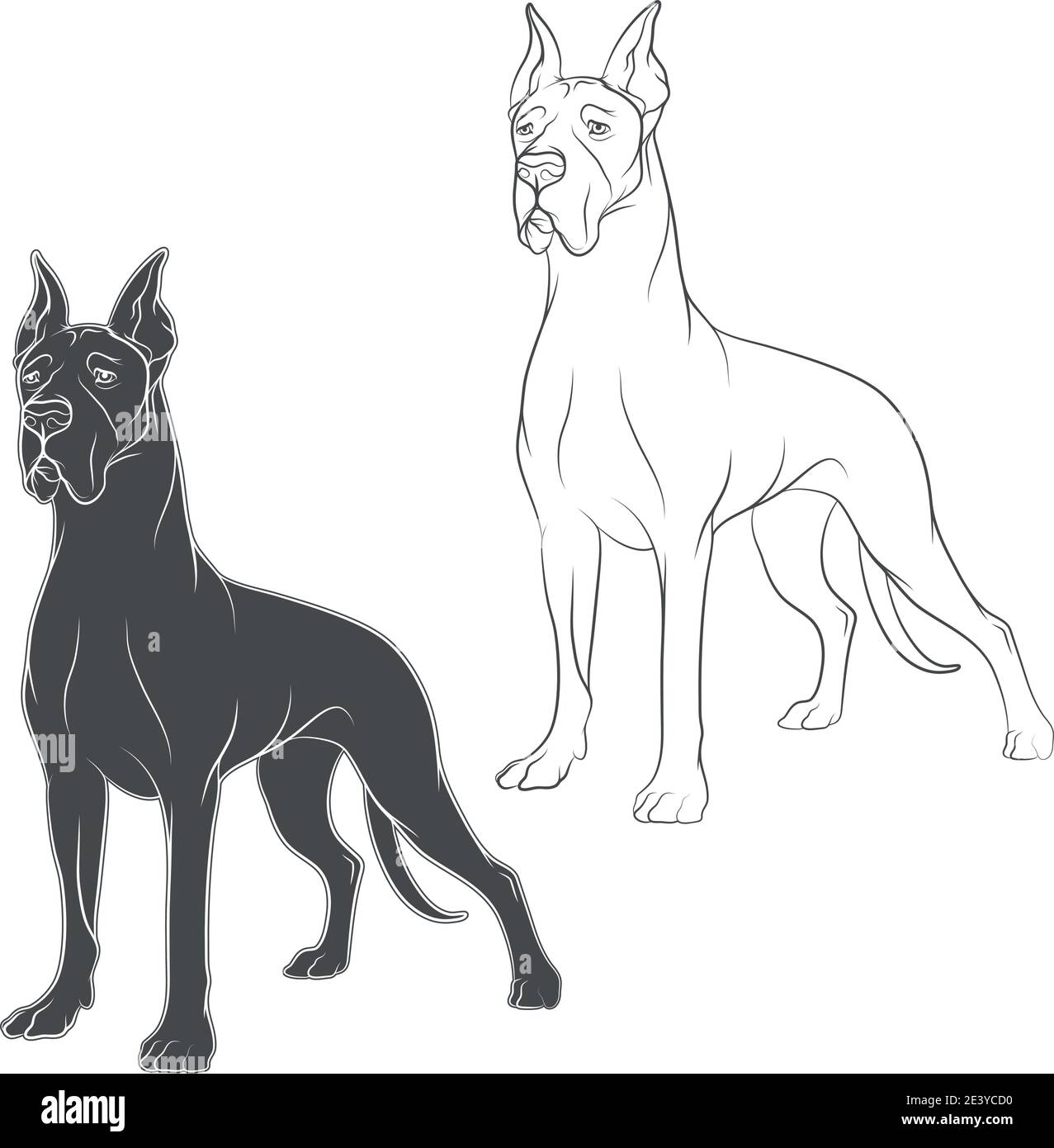 Vector drawing of dog. Isolated objects on a white background Stock ...