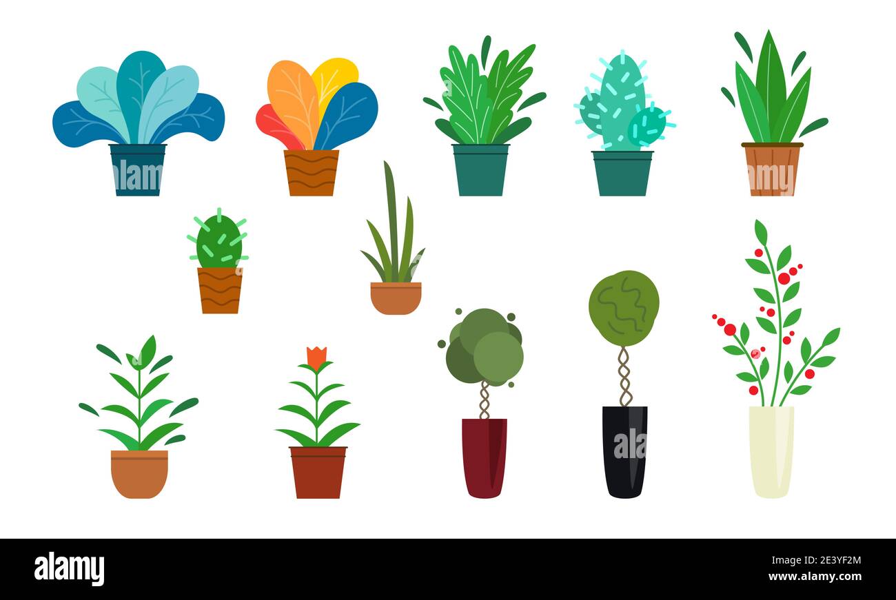 Set of outdoor and home potted plants. bushes, trees, flowers. Isolated ...