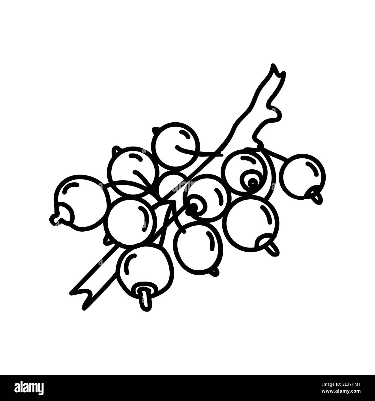 Blackcurrant Fruit Icon. Vector Design Illustration Sign Logo Stock ...