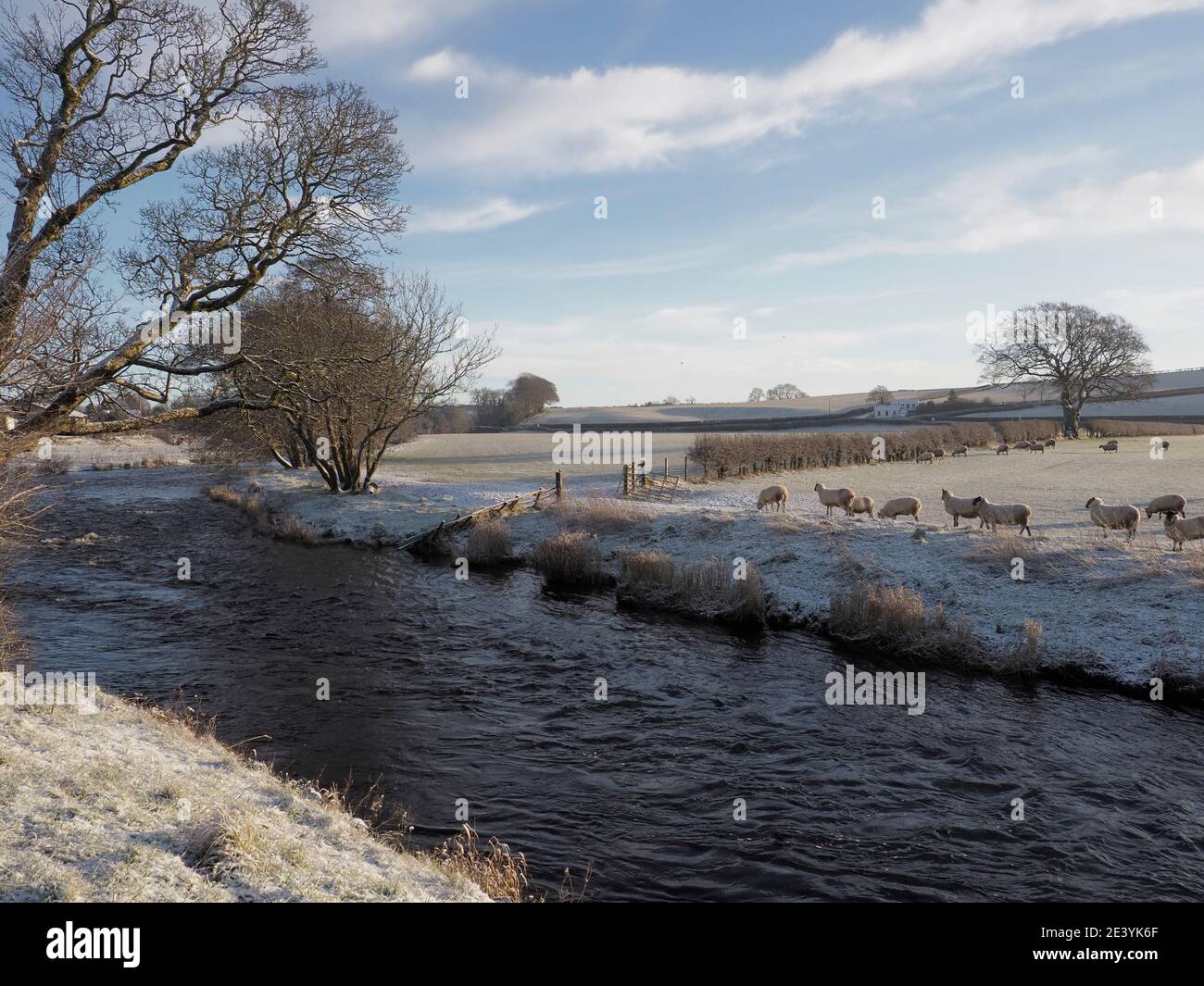 Beautiful winter sunshine scotland hi-res stock photography and images ...