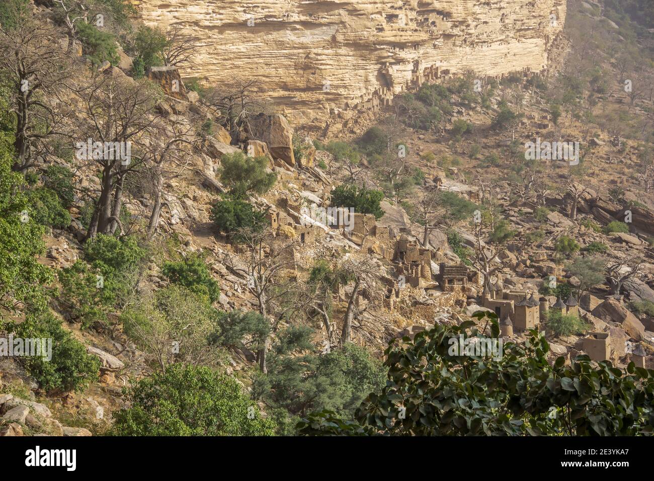 Land dogons hi-res stock photography and images - Alamy