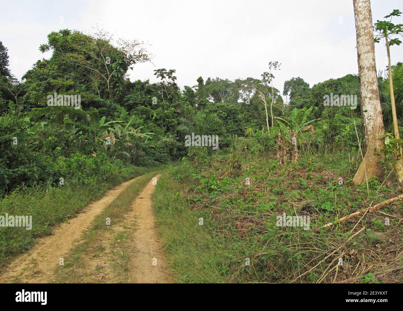 Abrafo village hi-res stock photography and images - Alamy
