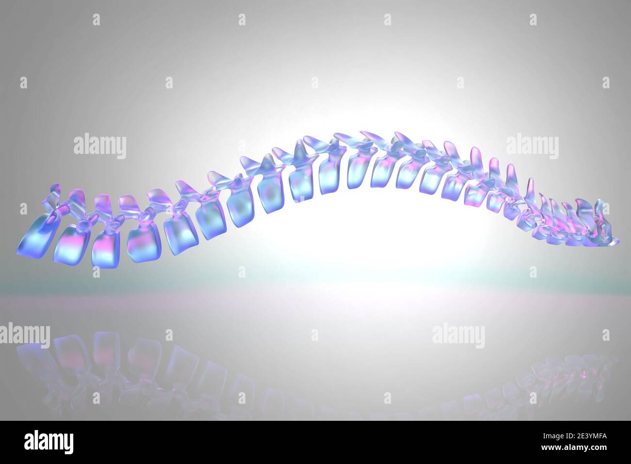 Modern 3d illustration of human spine in horizontal position Stock ...