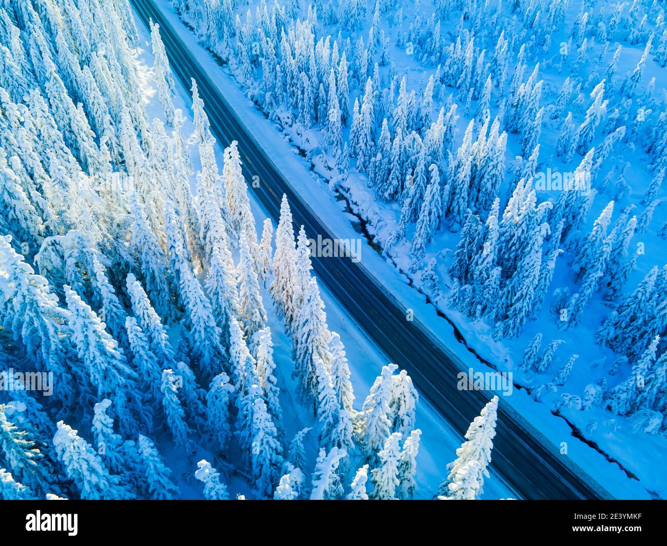 Drone through trees hi-res stock photography and images - Alamy