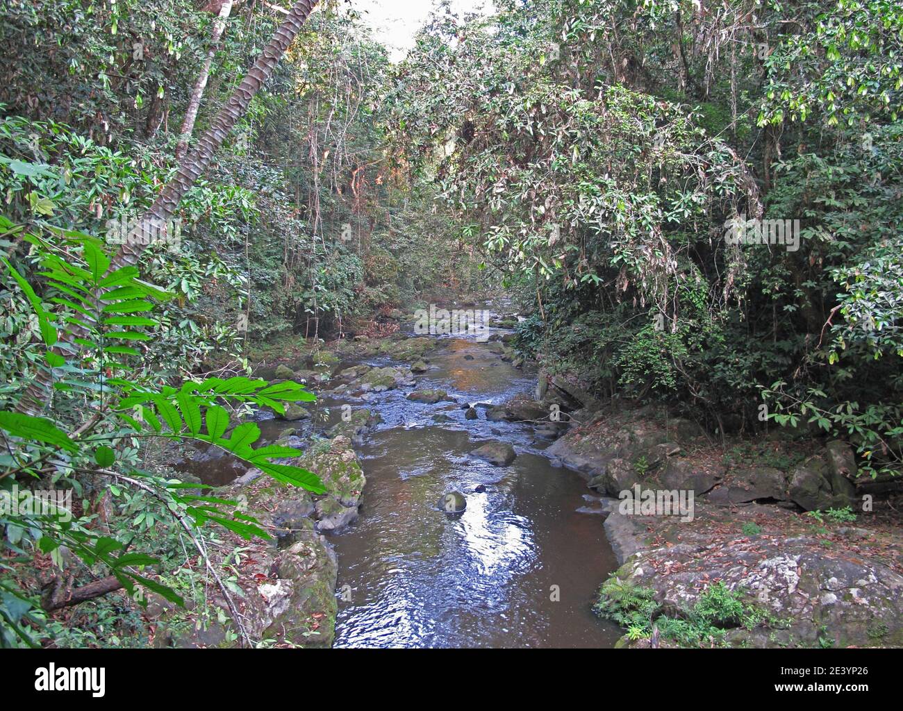 Ankasa hi-res stock photography and images - Alamy