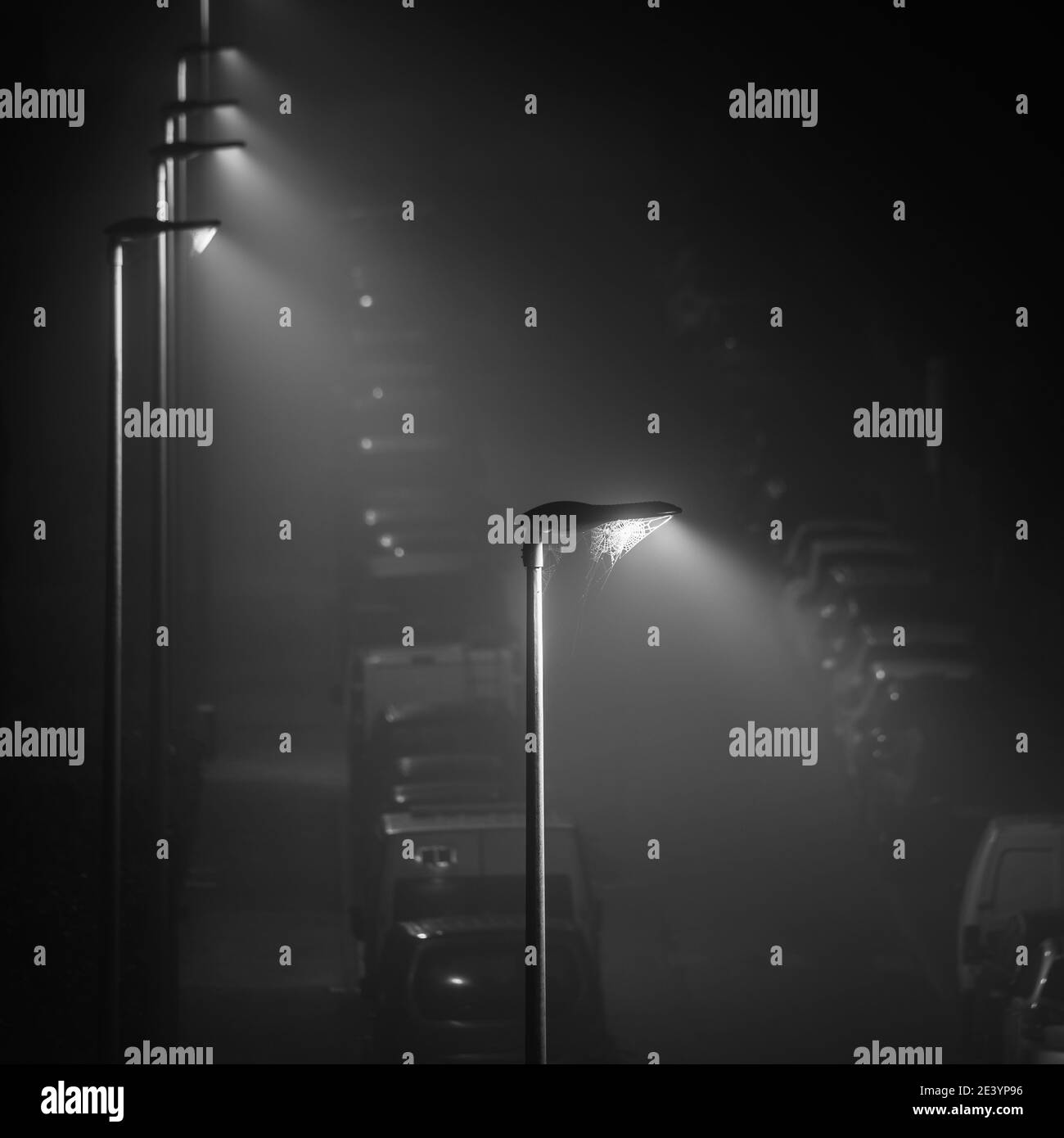 Modern LED street lights illuminating an empty foggy street, spider web ...