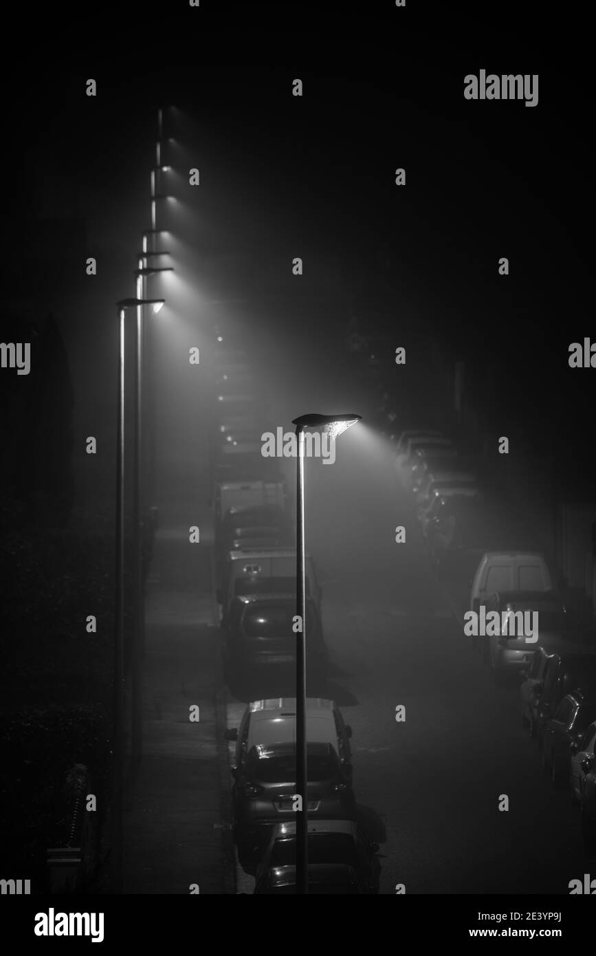 Modern LED street lights illuminating an empty foggy street, spider web ...