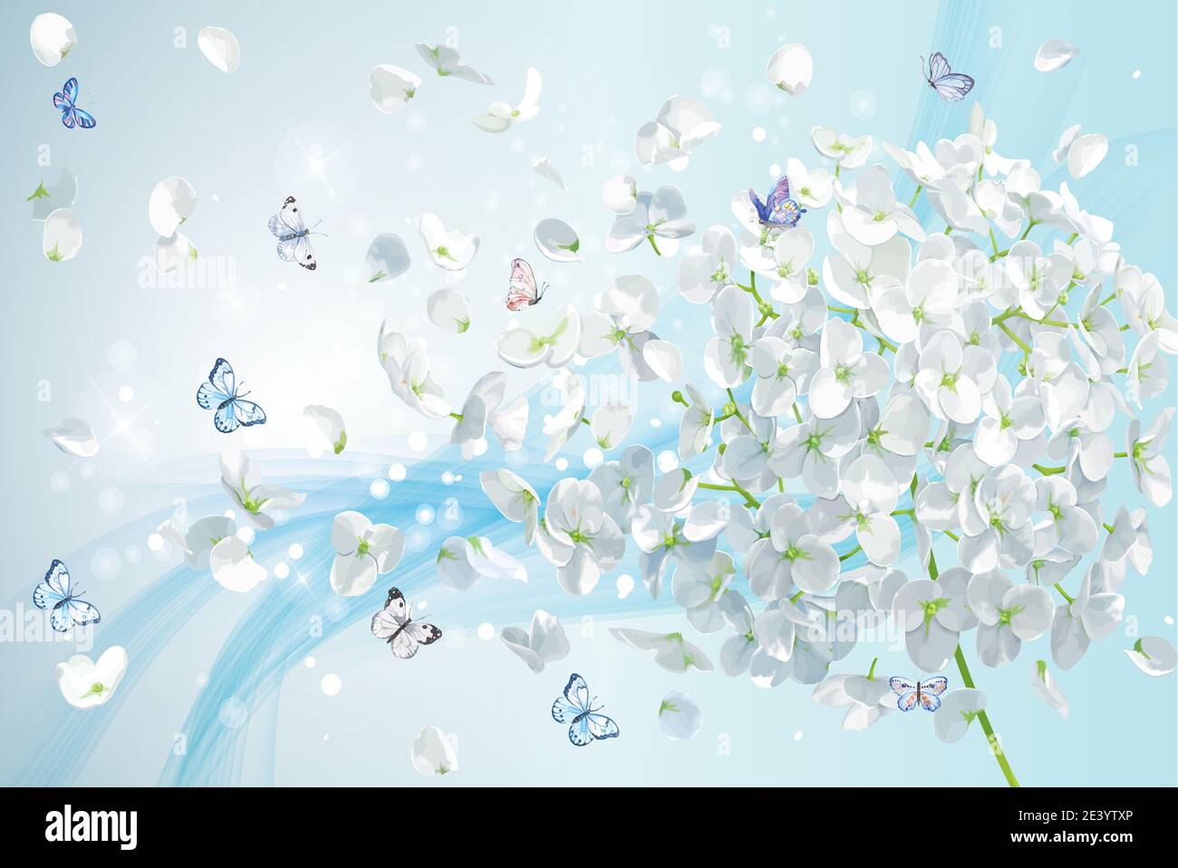 Customized wallpaper hi-res stock photography and images - Alamy