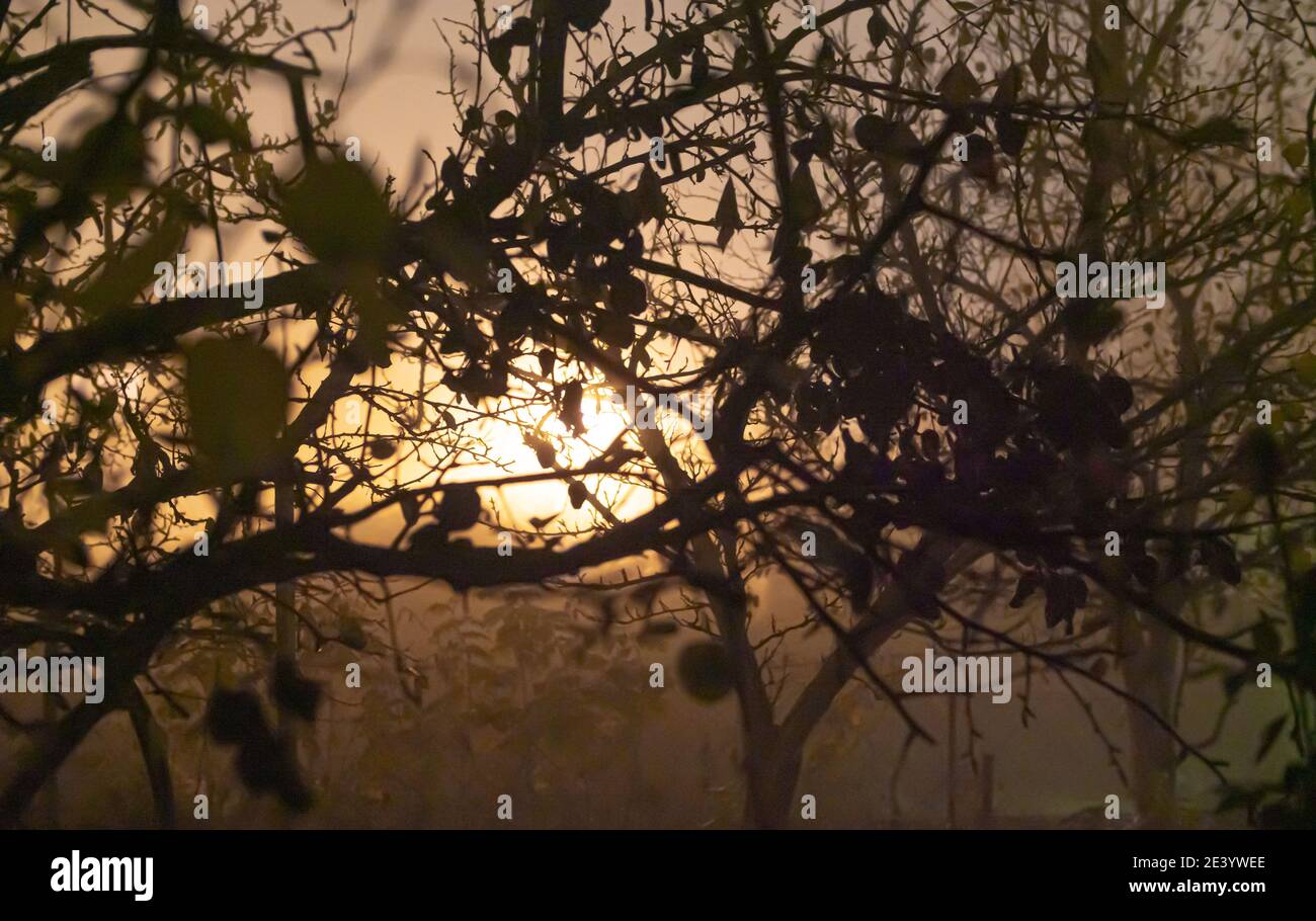 Scary lamp post night hi-res stock photography and images - Alamy