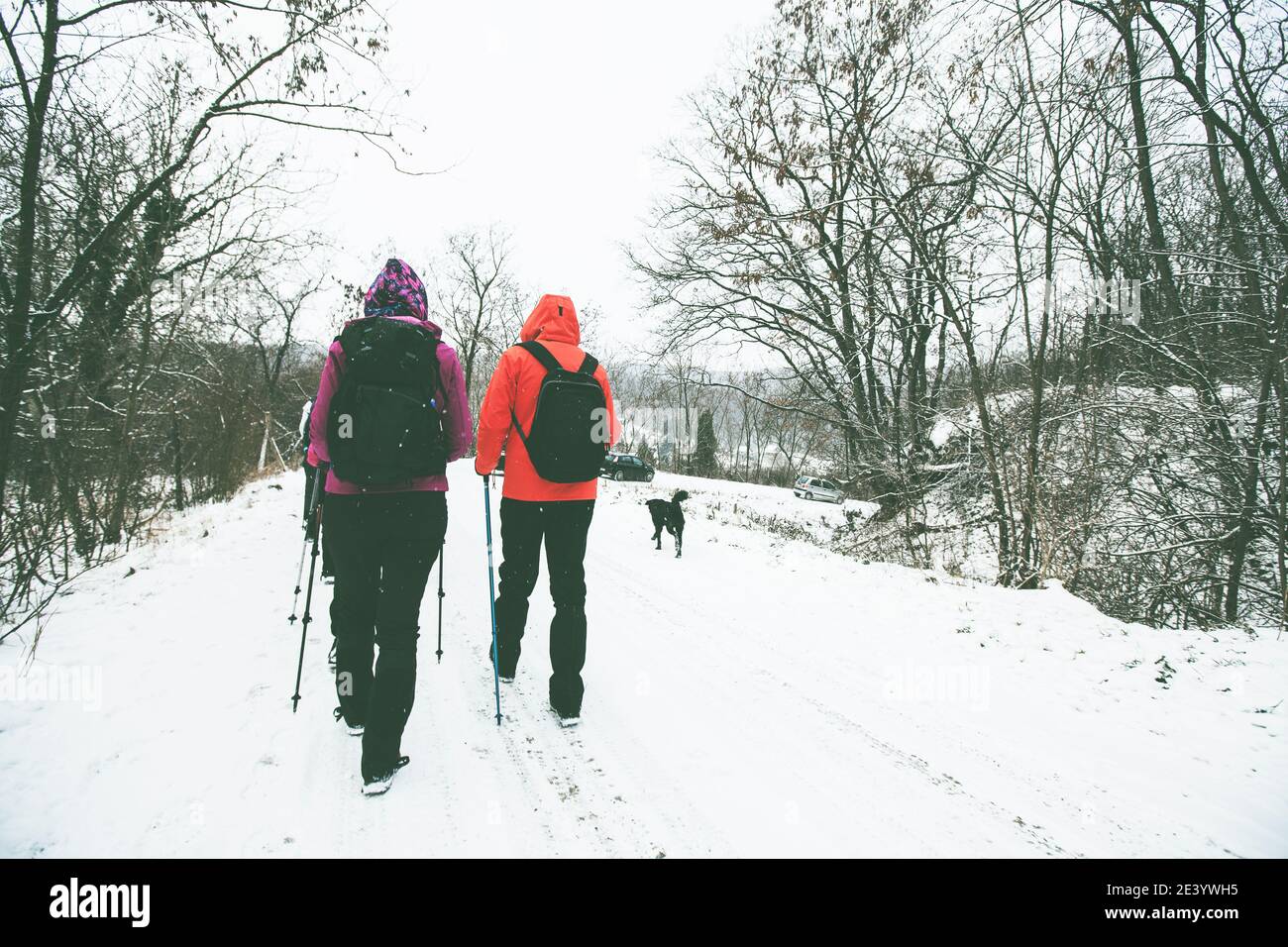 Group of hikers walking on the hike trail on snow winter day Stock ...