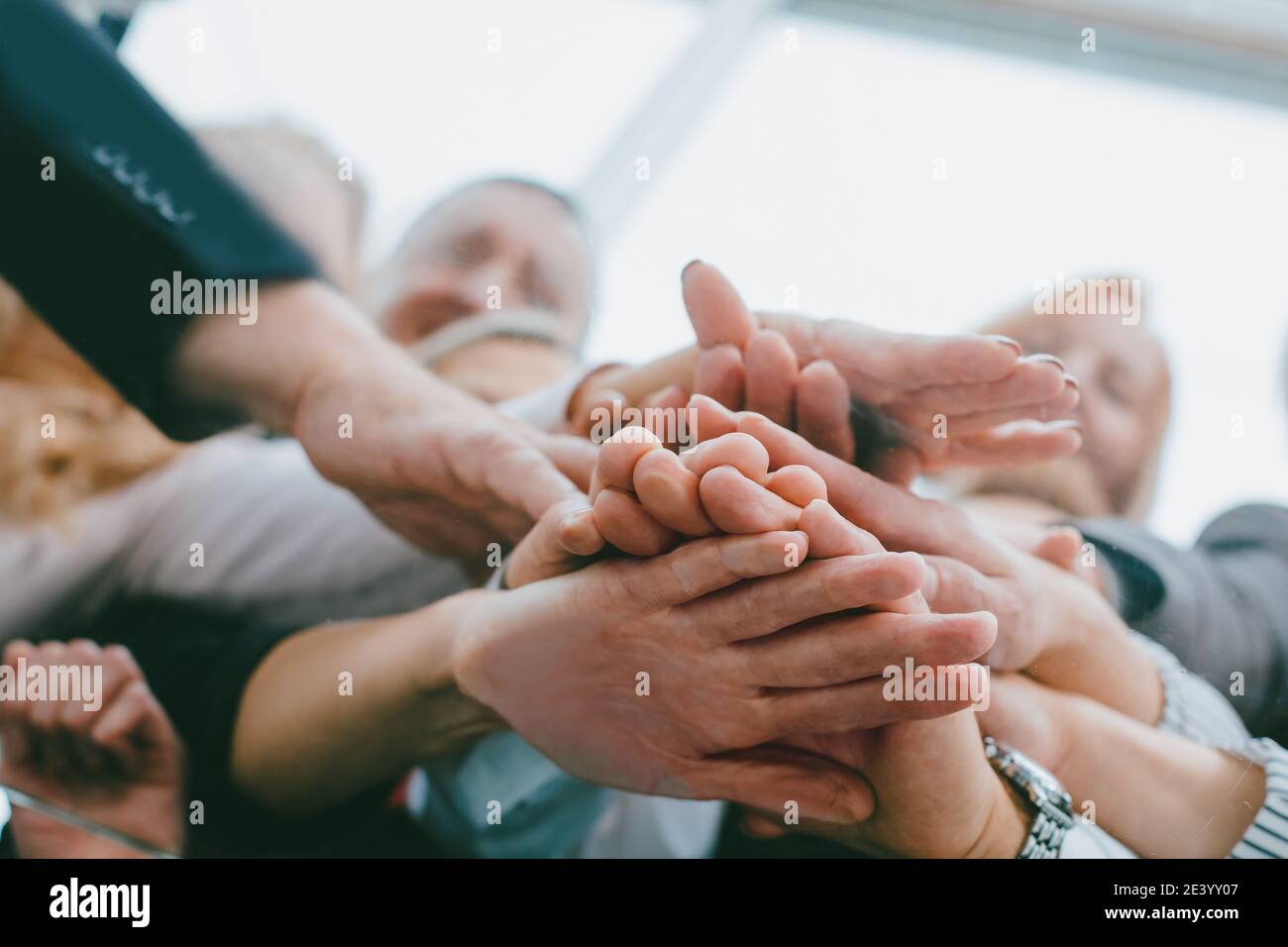 Experienced company employees sitting hi-res stock photography and ...