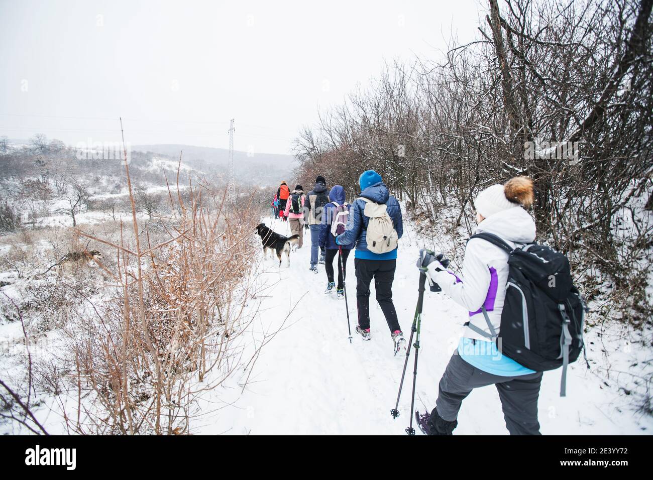 Hikers with backpack hiking on snowy trail. Group of people walking ...