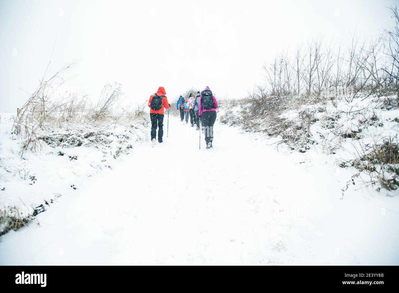 Group of hikers walking on the hike trail on snow winter day Stock ...