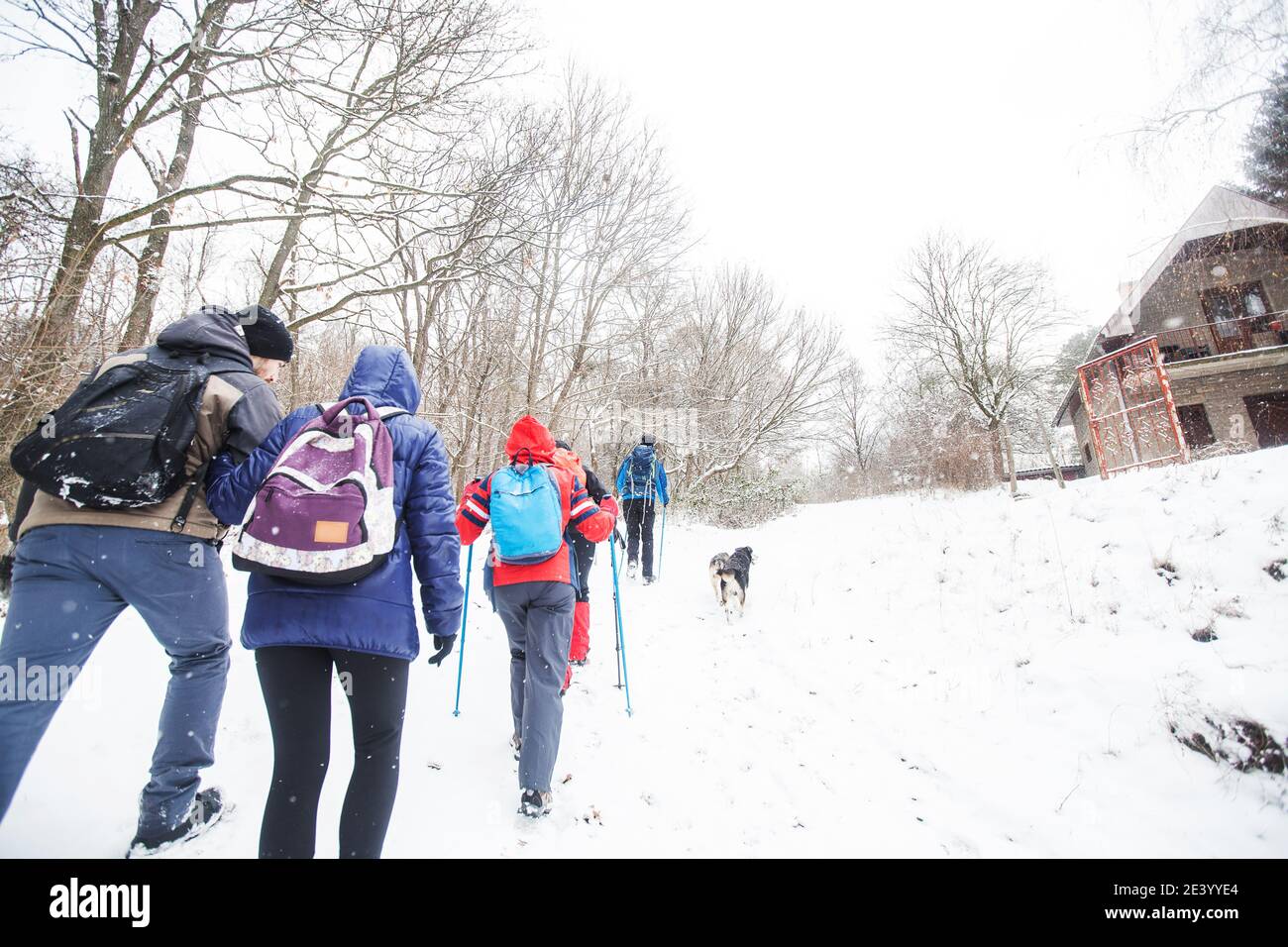 Hikers with backpack hiking on snowy trail. Group of people walking ...