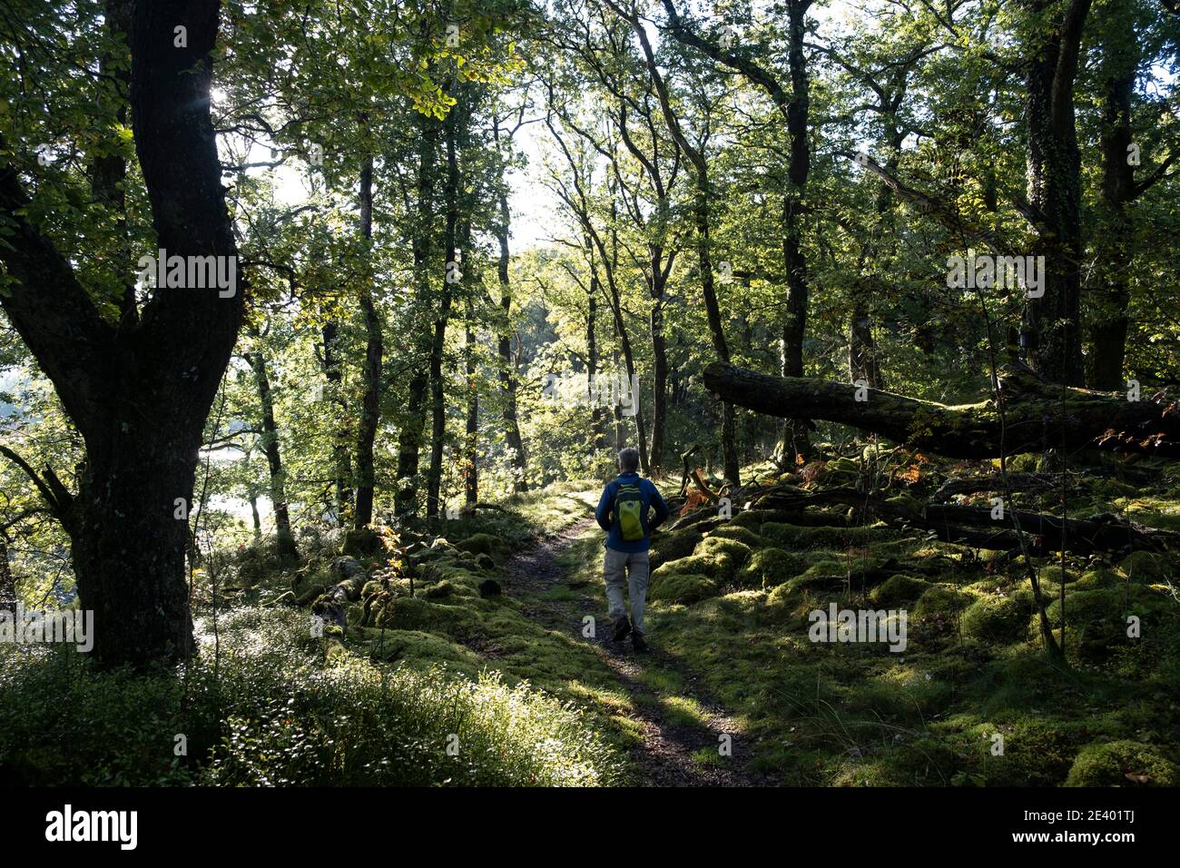 Walker heading down the side of the Water of Minnock near Stroan Bridge ...