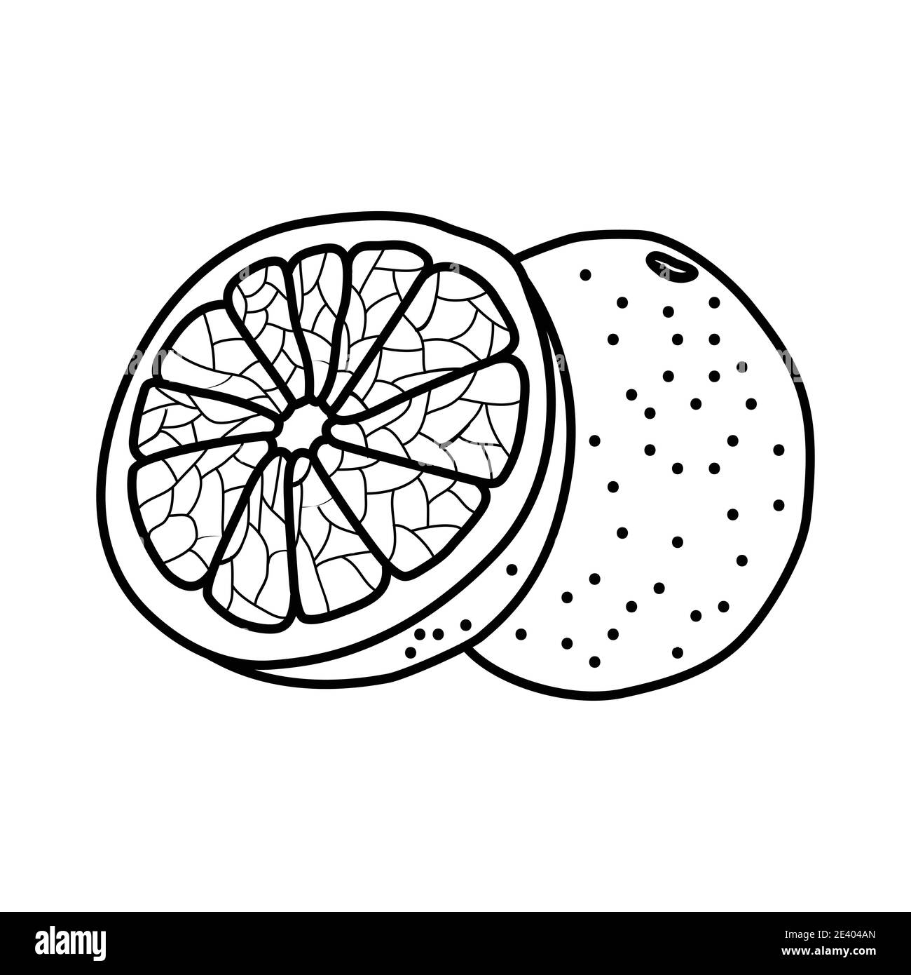 Mango grapefruit pomegranate Stock Vector Images - Alamy