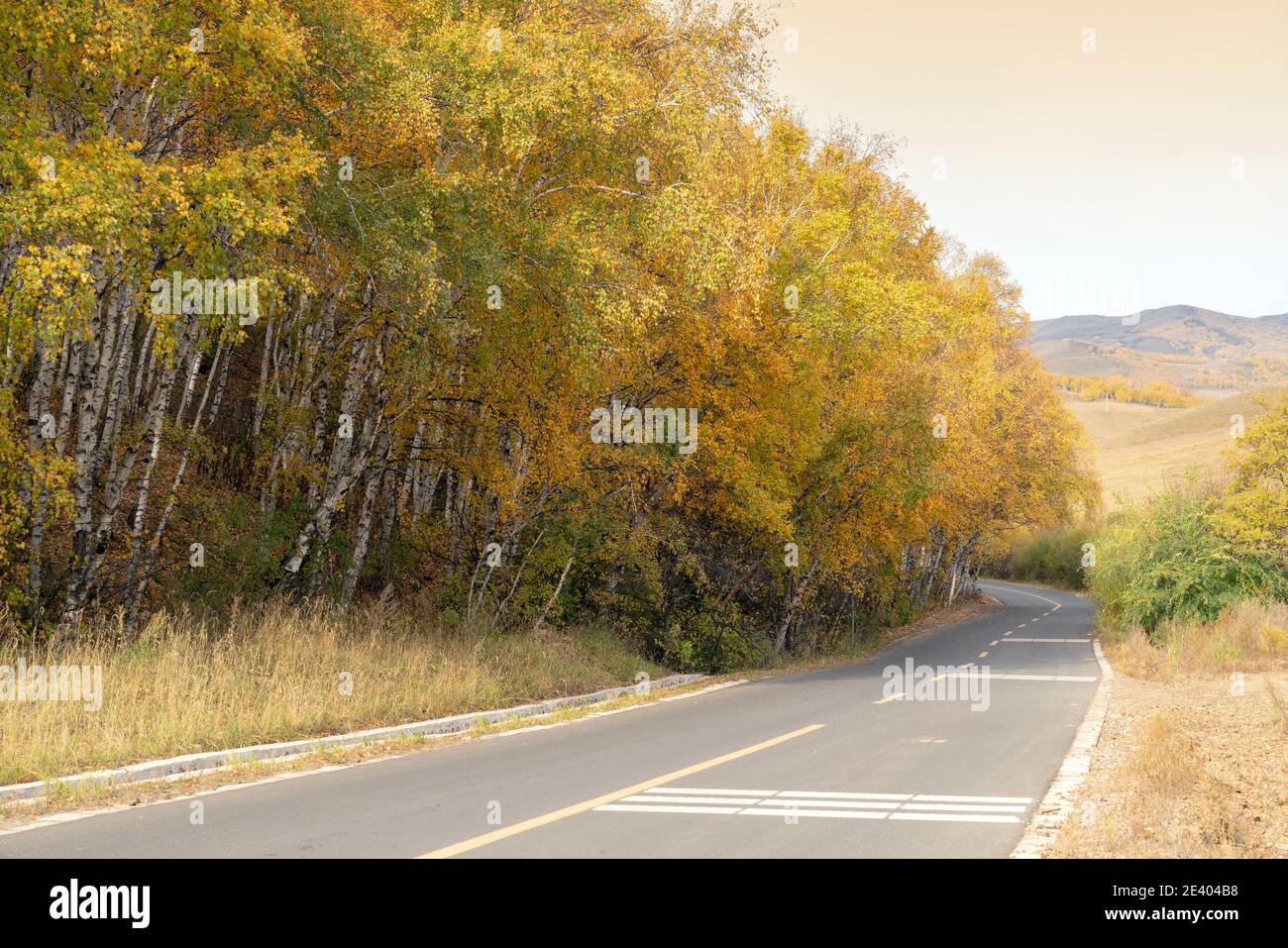 Empty road in autumn forest hi-res stock photography and images - Alamy