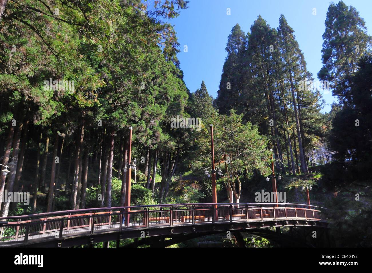 Alishan National Scenic Area High Resolution Stock Photography and ...