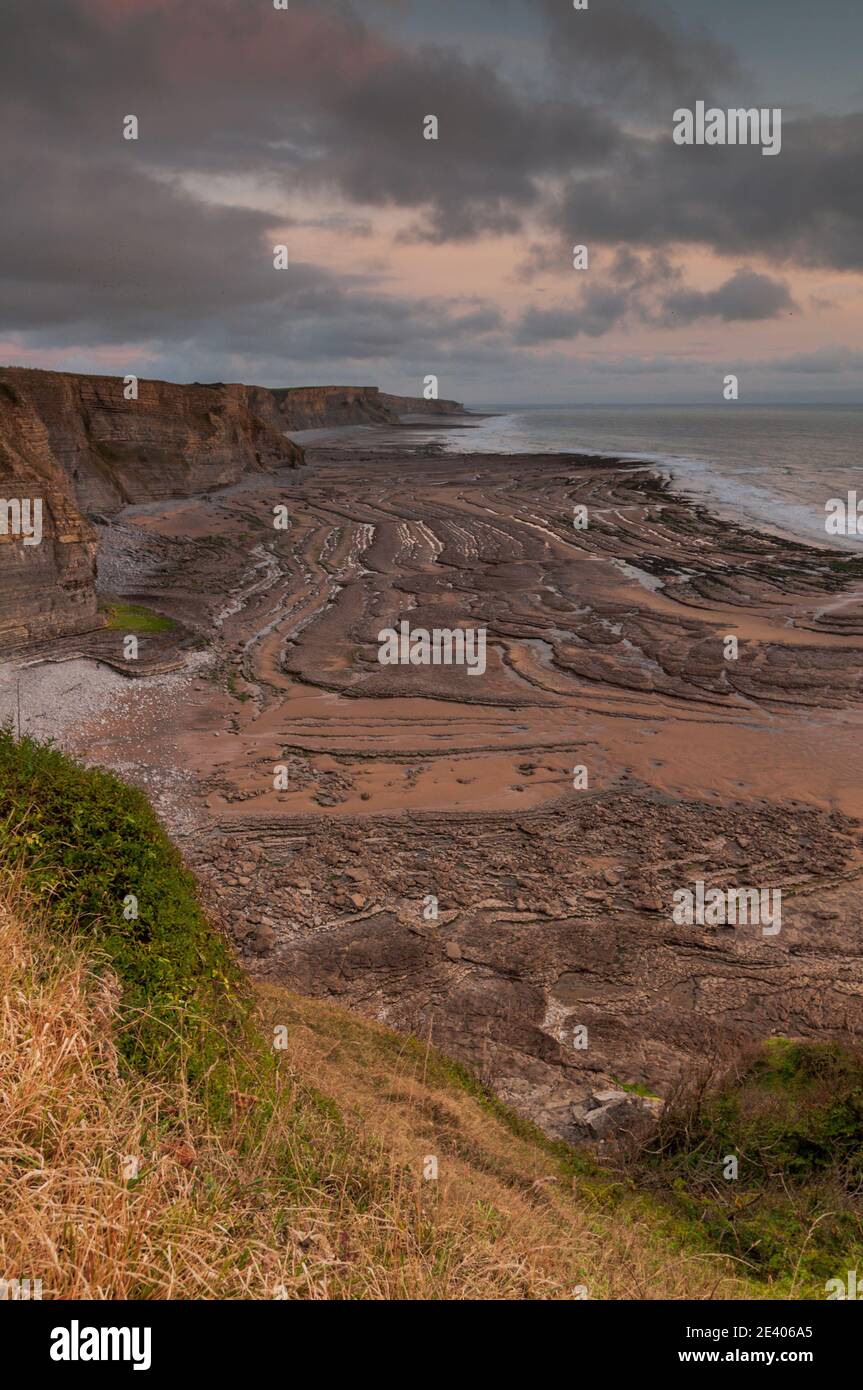 Dunraven bay fossil hi-res stock photography and images - Alamy