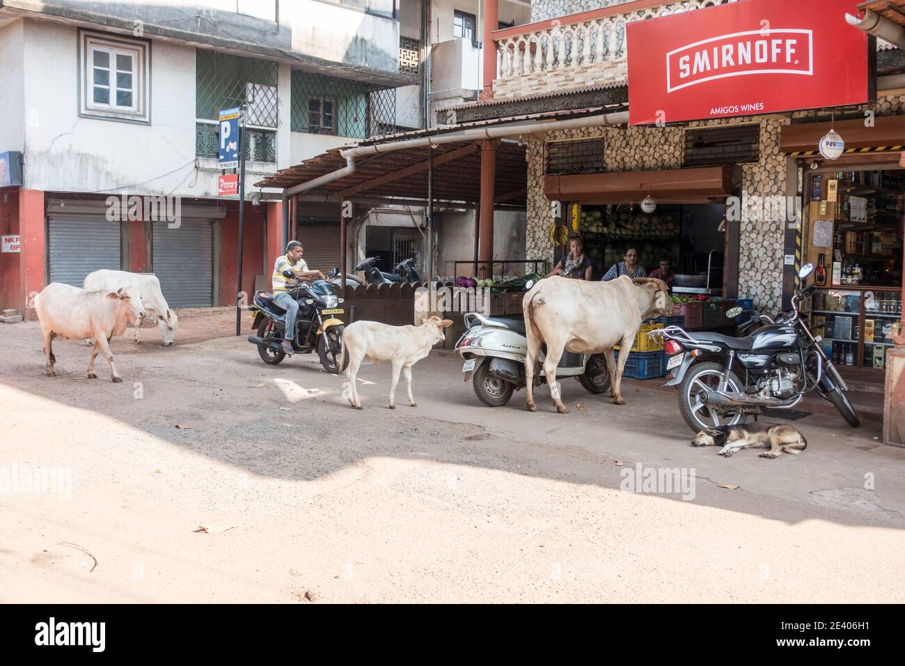 Around Calangute Goa Stock Photo - Alamy