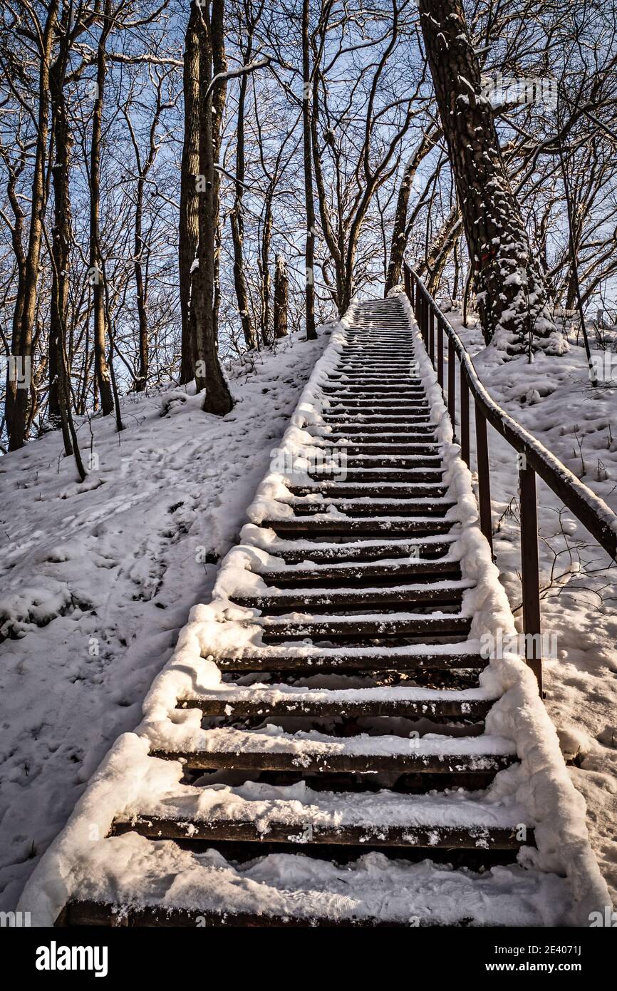 Steep Wooden Stairs in Mound Covered with Snow in Winter Season Stock ...