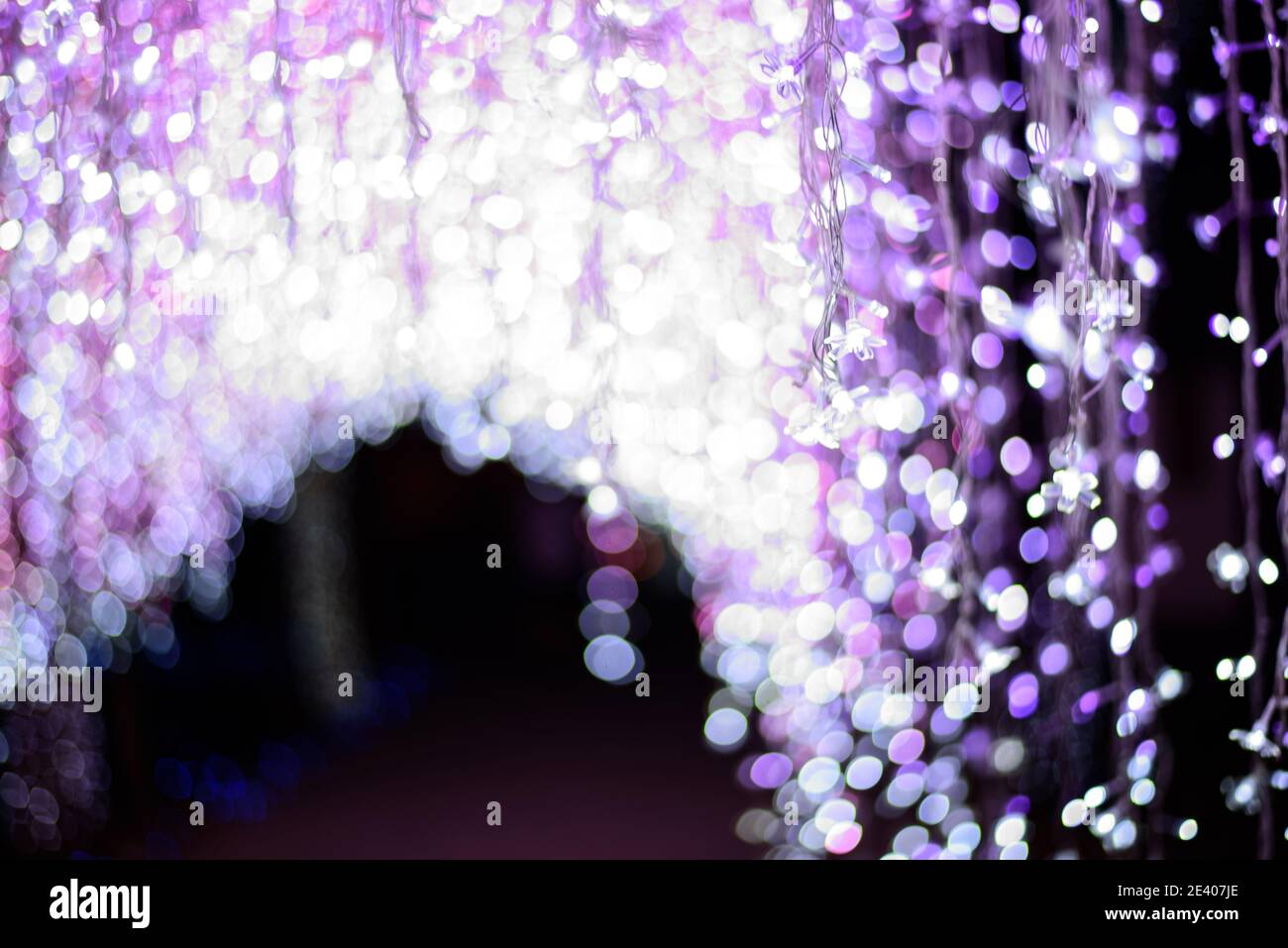 Lighting decorate on the tree in lighting festival showing countdown ...