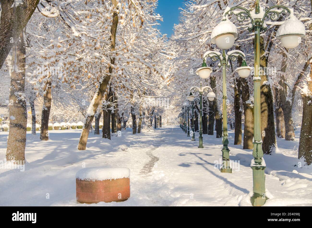 Winter fairy tale - Snow in Bitola city Park, Macedonia Stock Photo - Alamy