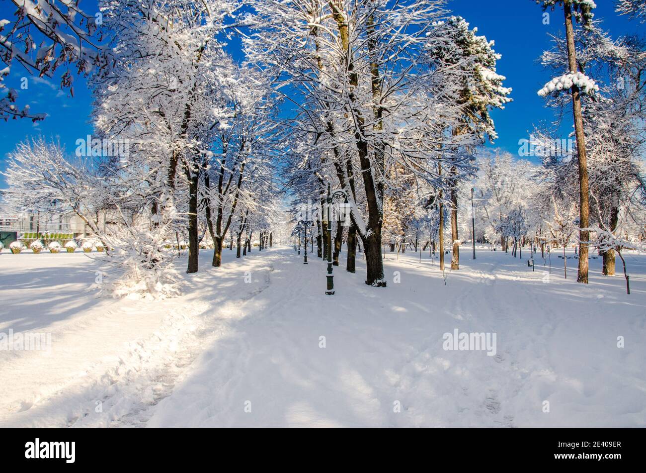 Winter in bitola hi-res stock photography and images - Alamy