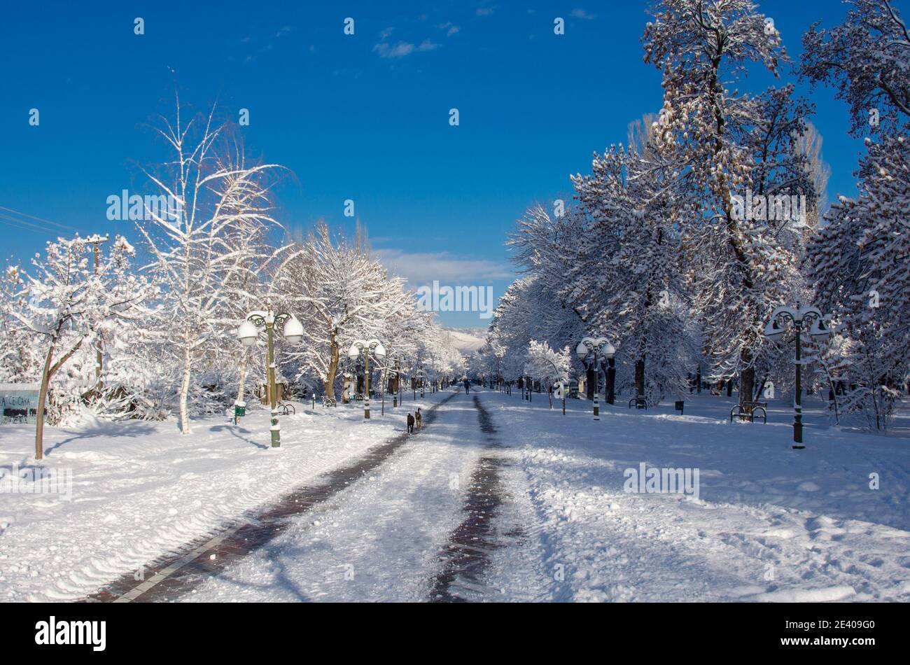 Macedonia – Bitola city – Snow in city park during winter Stock Photo ...