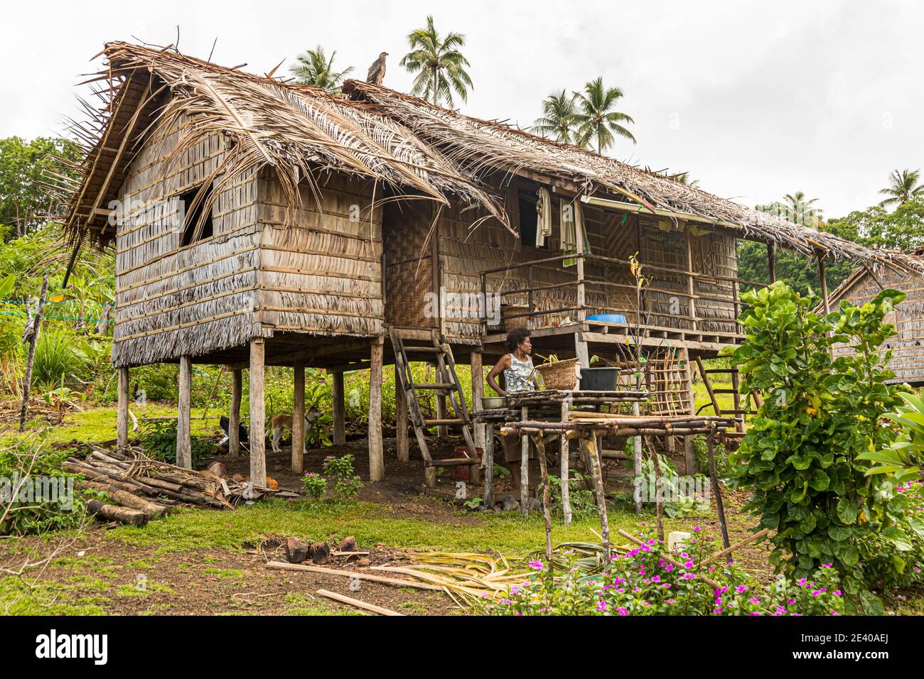 Papua new guinea tree house hi-res stock photography and images - Alamy
