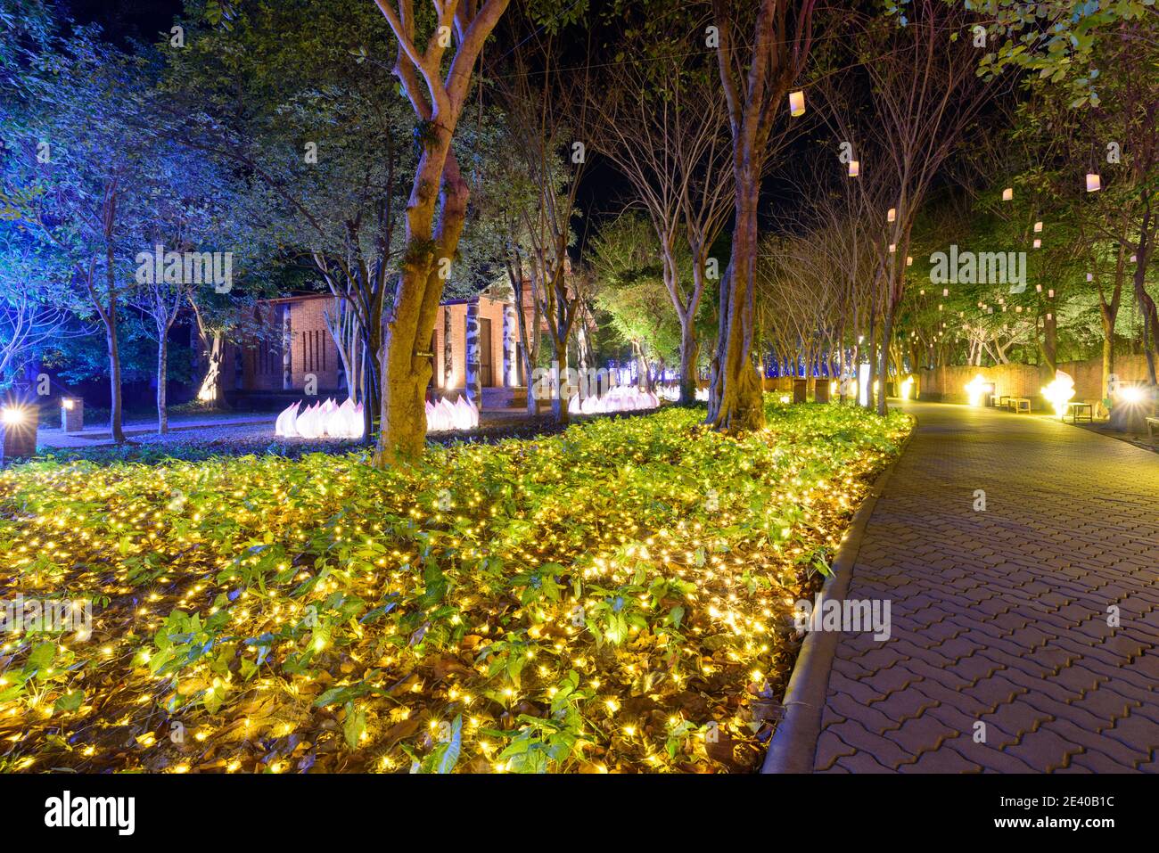 Lighting decorate on the tree in lighting festival showing countdown ...