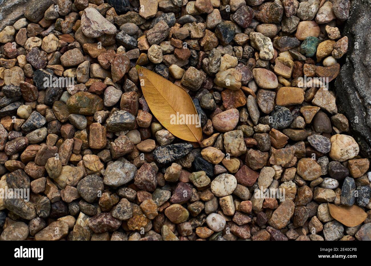 Brown pebble stone on hi-res stock photography and images - Alamy