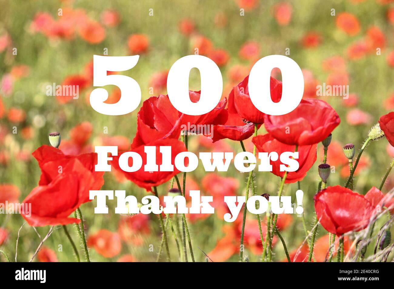 500 followers. Social media follower milestone. Thank you sign Stock ...