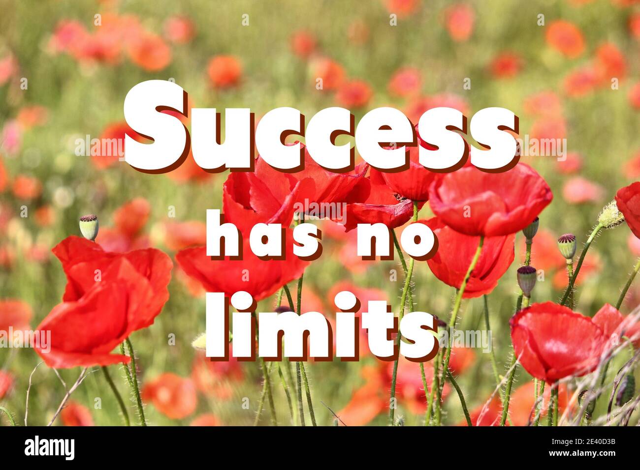 Success has no limits. Workplace inspirational quote poster. Success ...