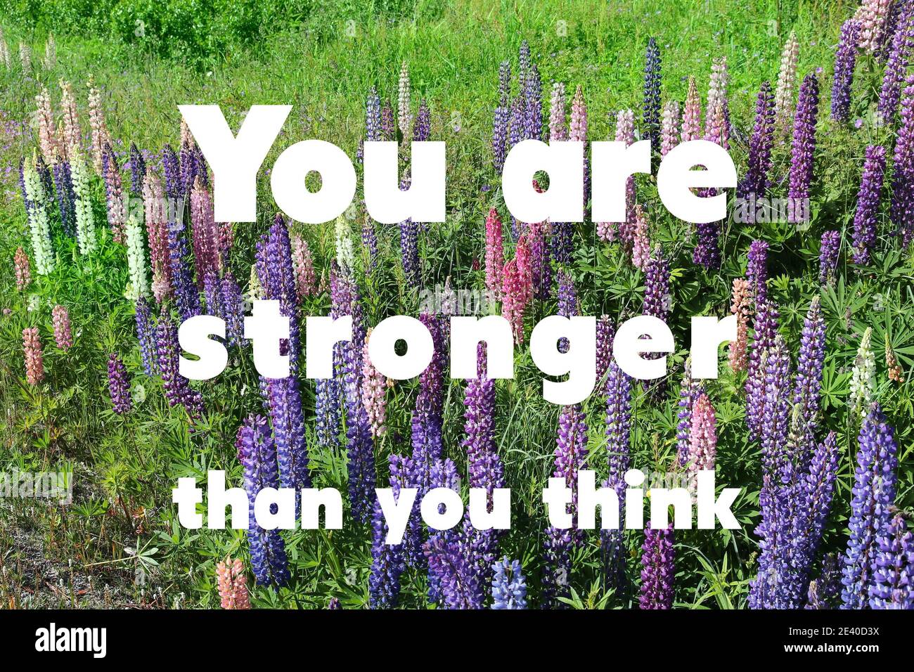 You are stronger than you think. Workplace inspirational quote poster ...