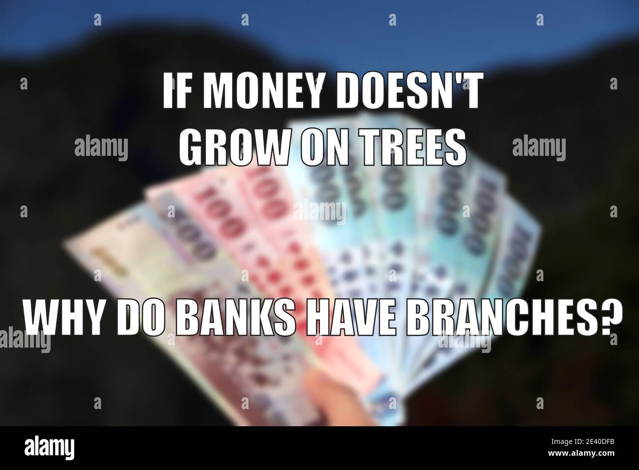 Money growing on trees hi-res stock photography and images - Alamy