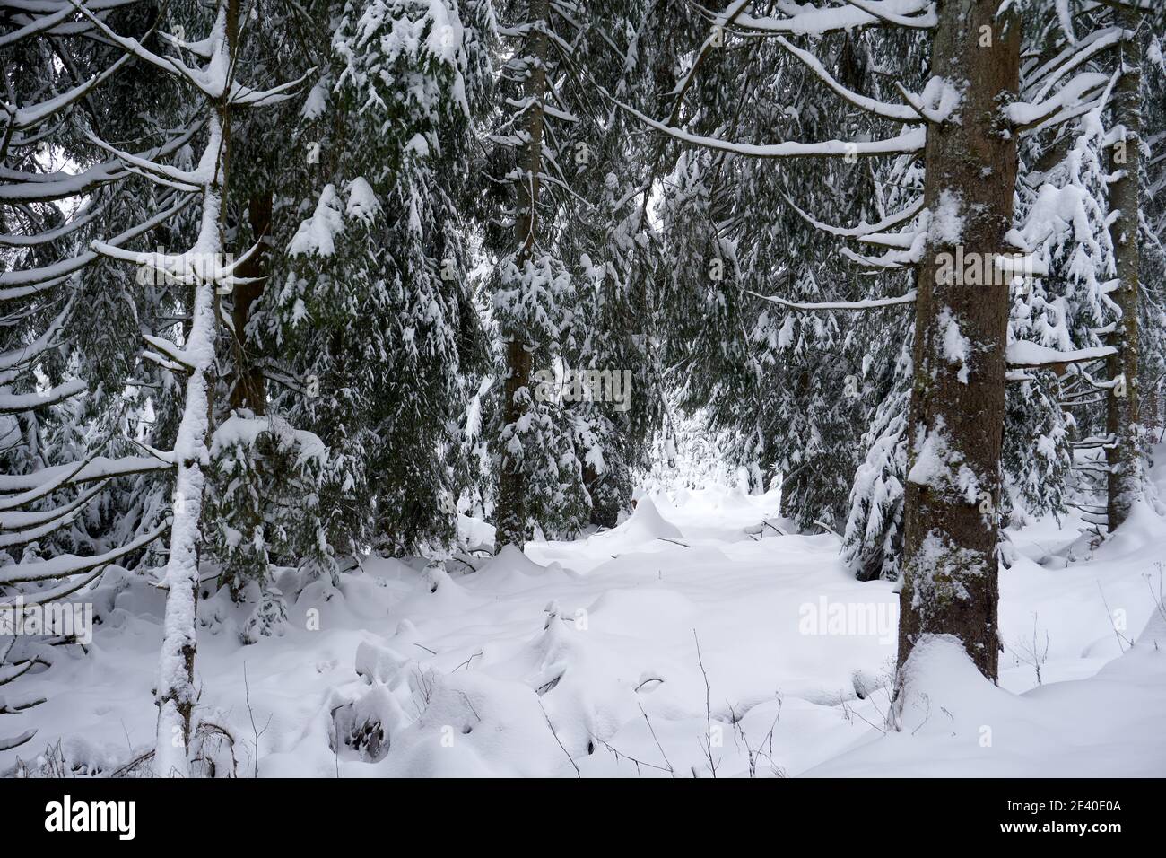 Mesmerizing shot beautiful snow hi-res stock photography and images - Alamy