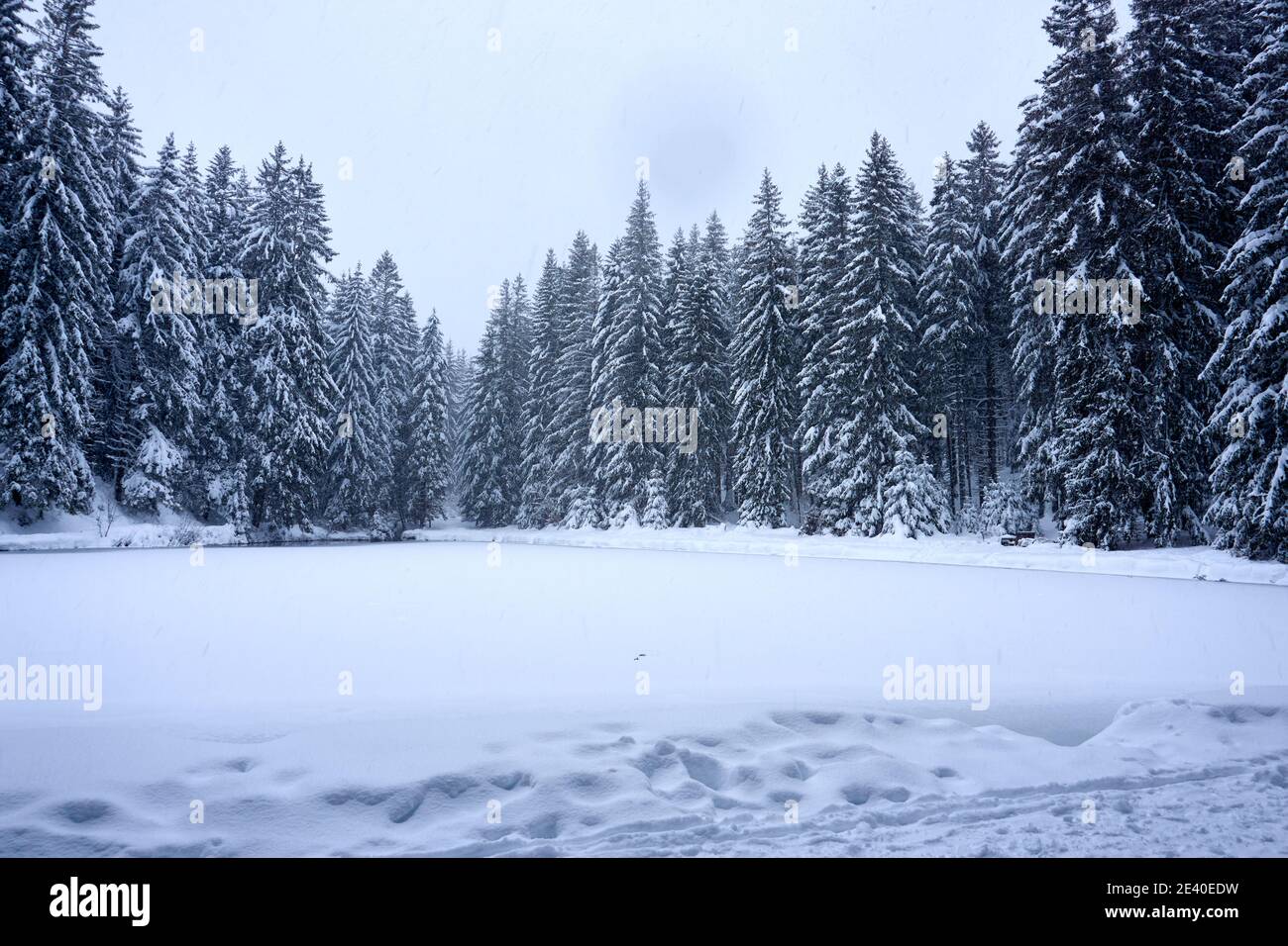 Mesmerizing shot beautiful snow hi-res stock photography and images - Alamy