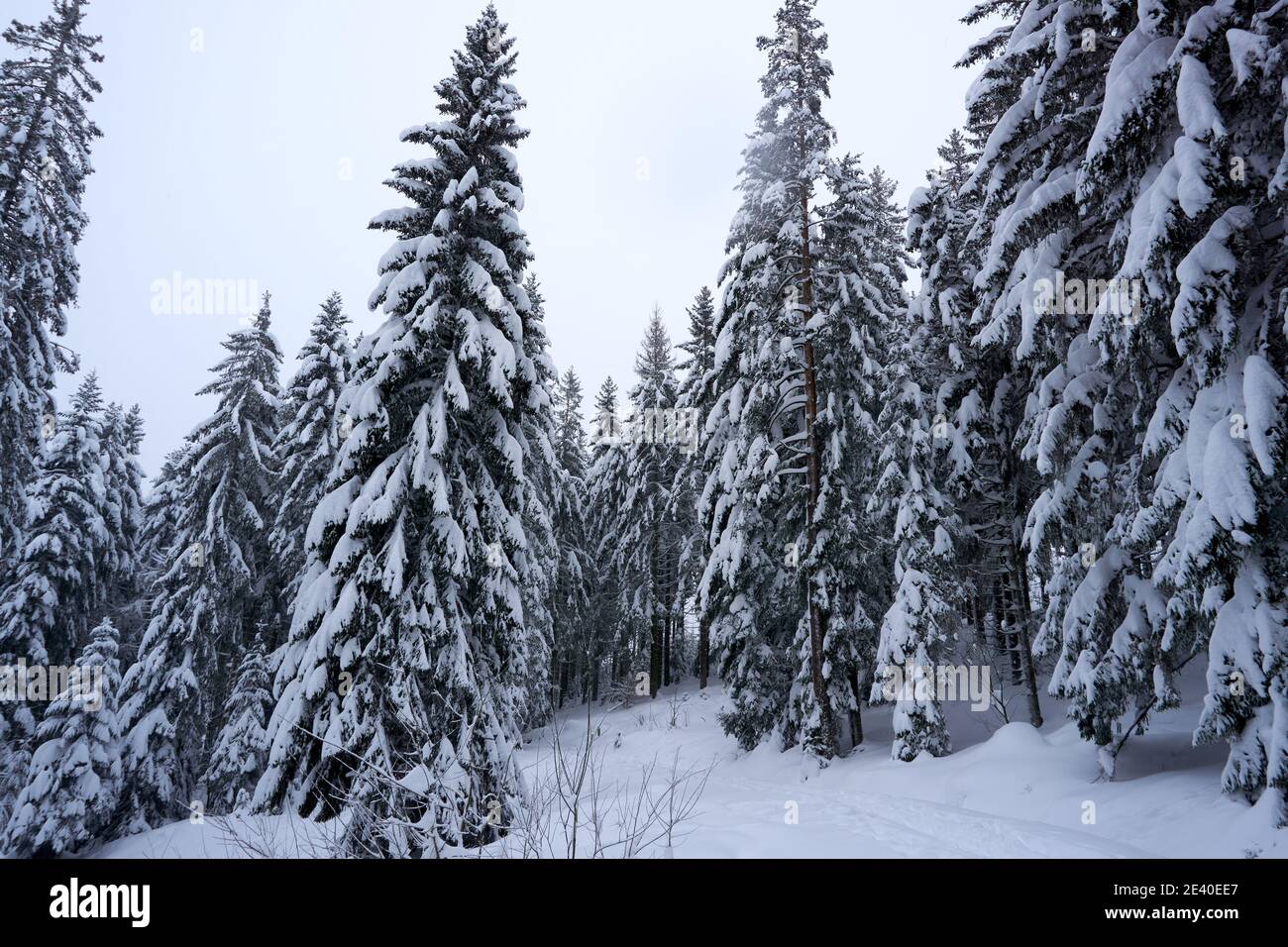 Mesmerizing shot beautiful snow hi-res stock photography and images - Alamy