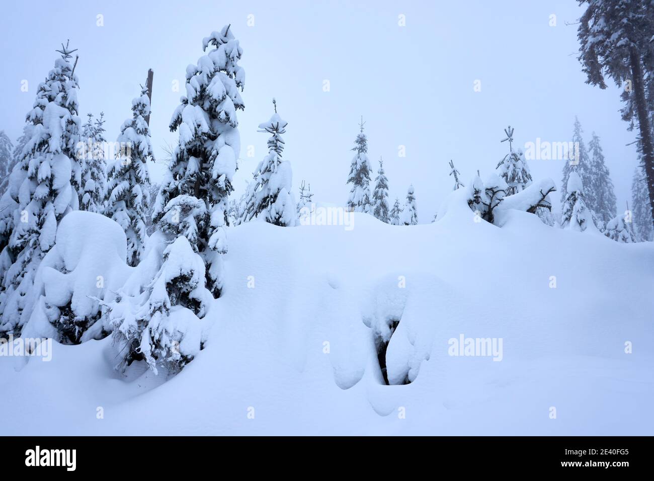 Mesmerizing shot beautiful snow hi-res stock photography and images - Alamy