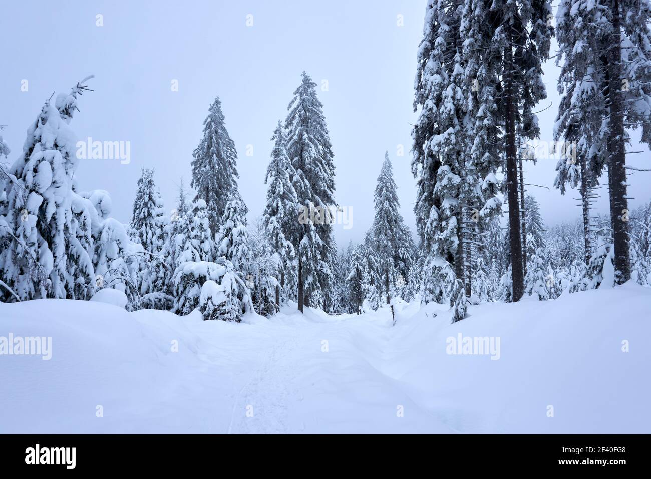 Mesmerizing shot beautiful snow hi-res stock photography and images - Alamy