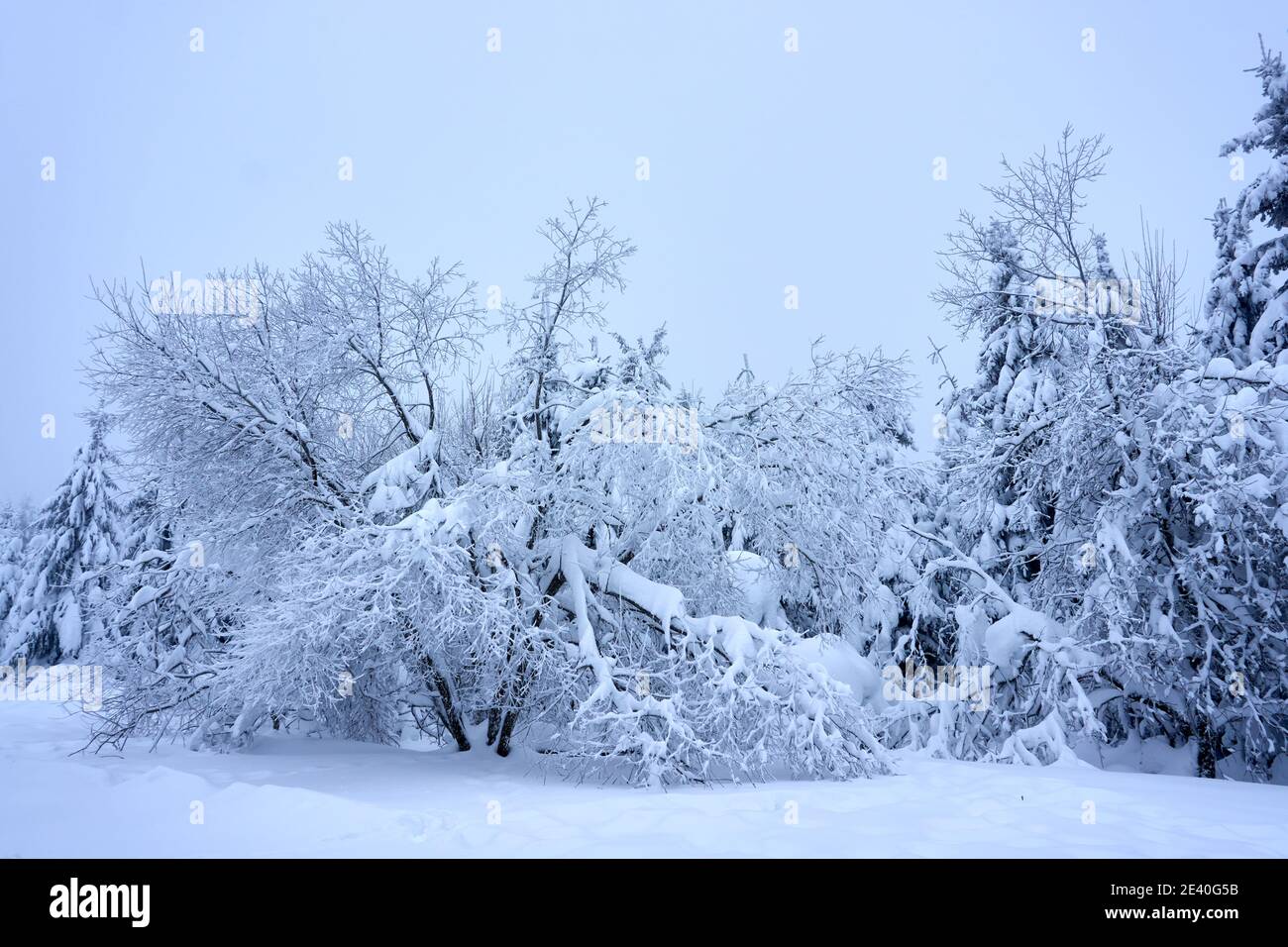 Mesmerizing shot beautiful snow hi-res stock photography and images - Alamy