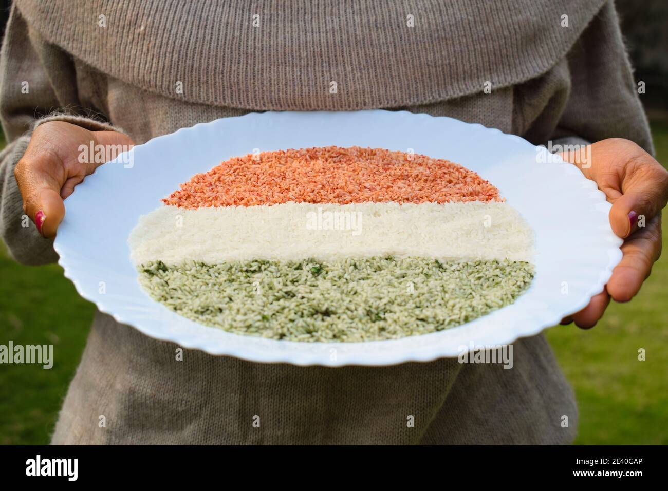 Indian girl holding an indian flag hi-res stock photography and images ...