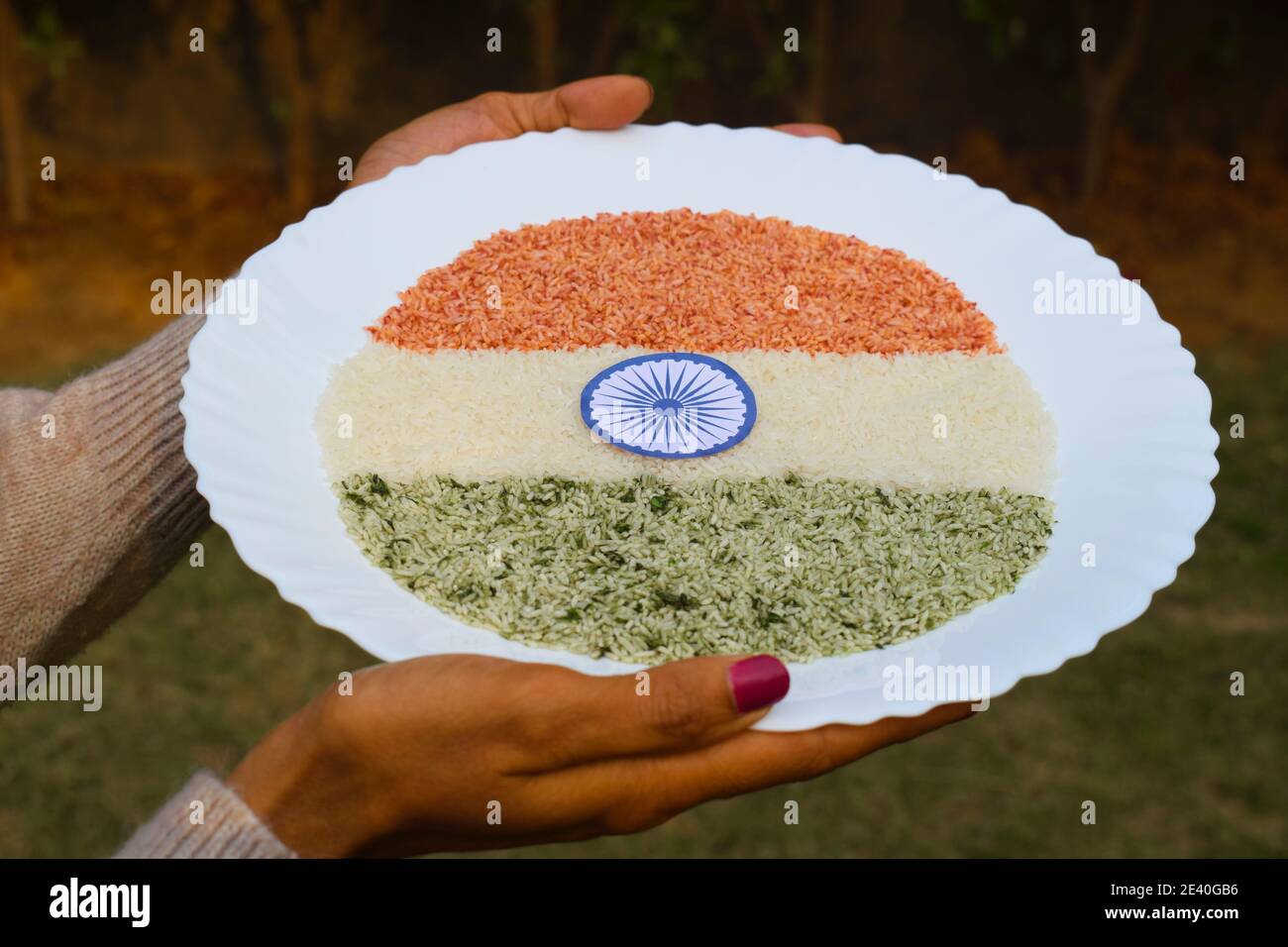 Female holding plate of tri color or tiranga Indian flag food depicted ...
