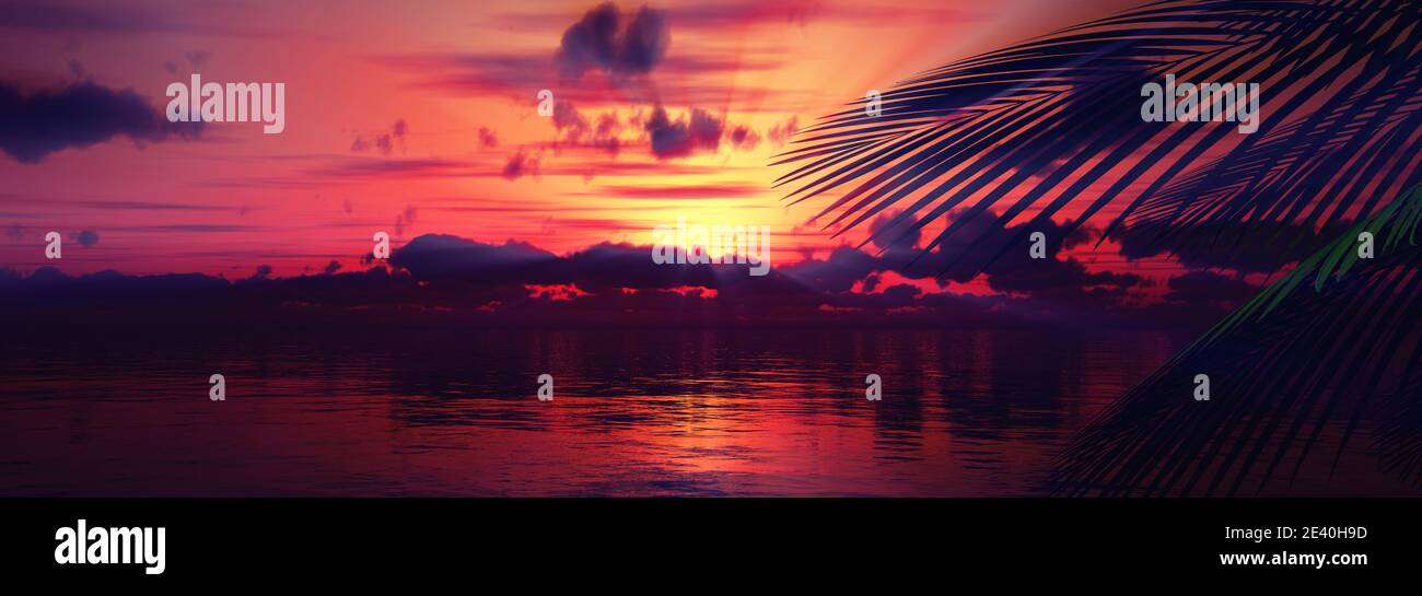 sunset sea palm landscape illustration, 3d render Stock Photo - Alamy