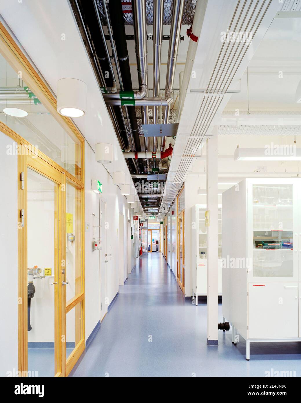 Pfizer Lab pharmakonzern, pharmaceutical company, ditta farmaceutica ...