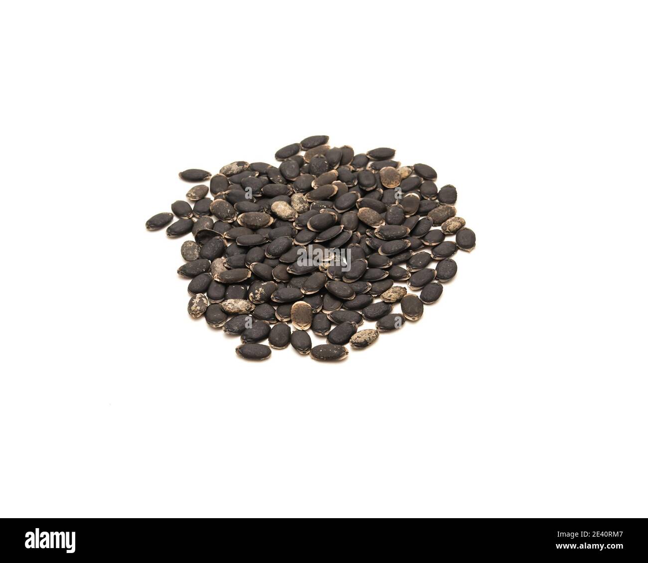 Pile of luffa seeds isolated on white background. Organic non treated ...